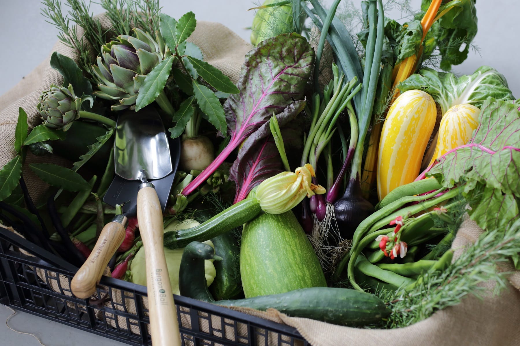 Top five tips for growing your own produce | Sarratt and Chipperfield ...
