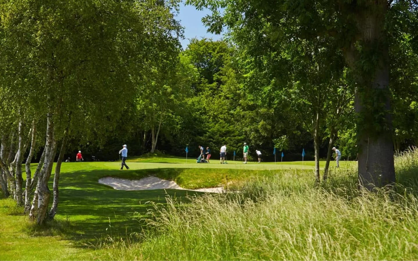 Reflecting On 20 Years with Kyle Phillips | Golf at The Grove