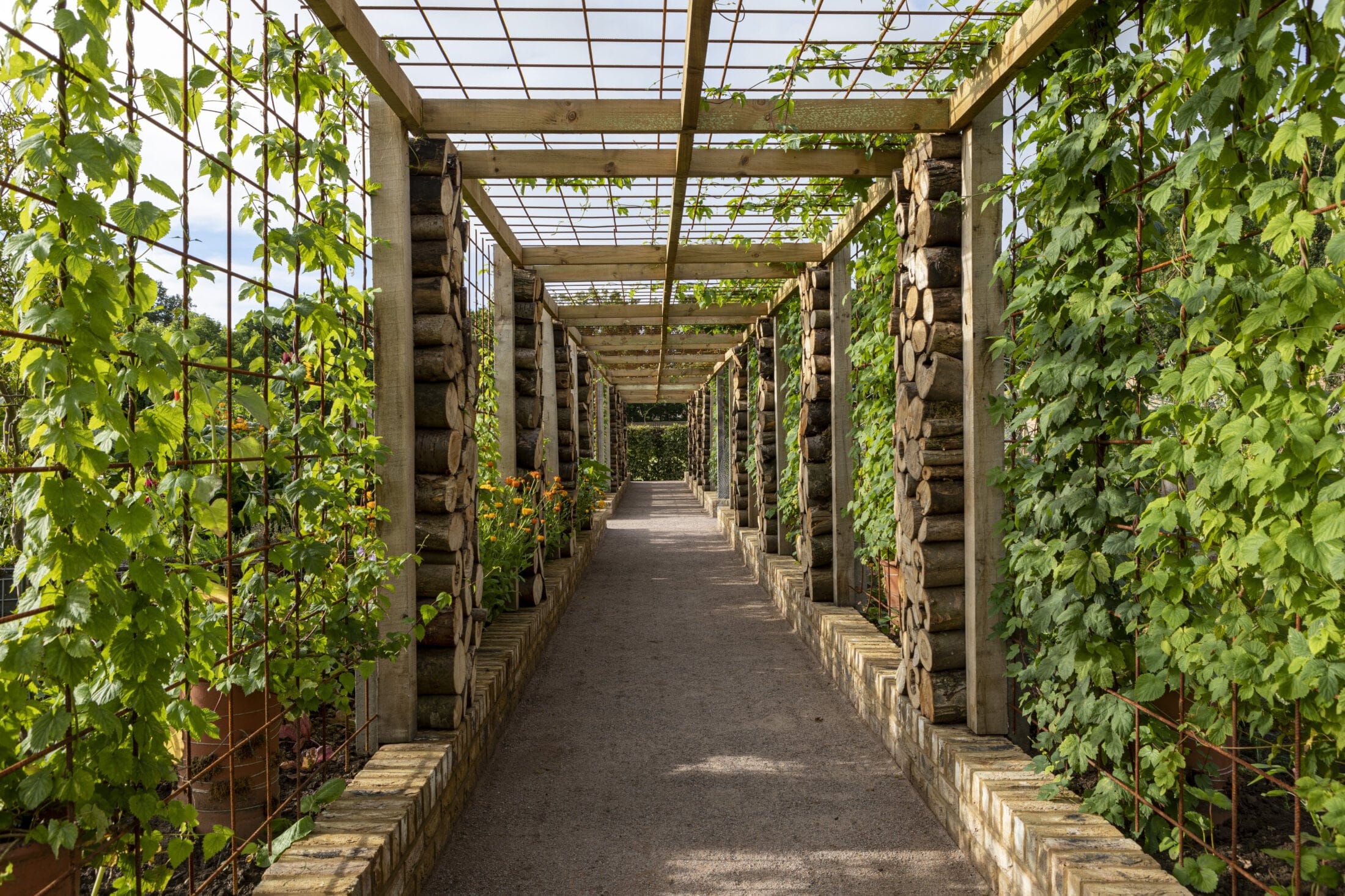 Hotel Environmental and Social Sustainability | The Grove