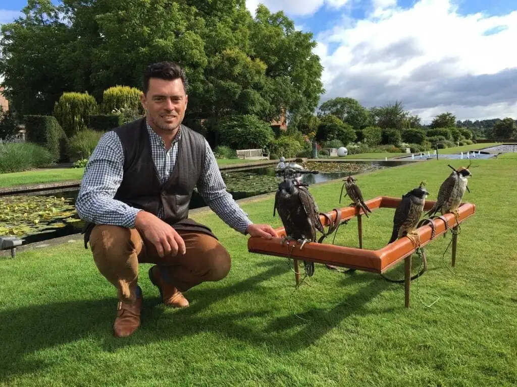 Woodland Hawking Hertfordshire | Hawk Walk Experience | The Grove