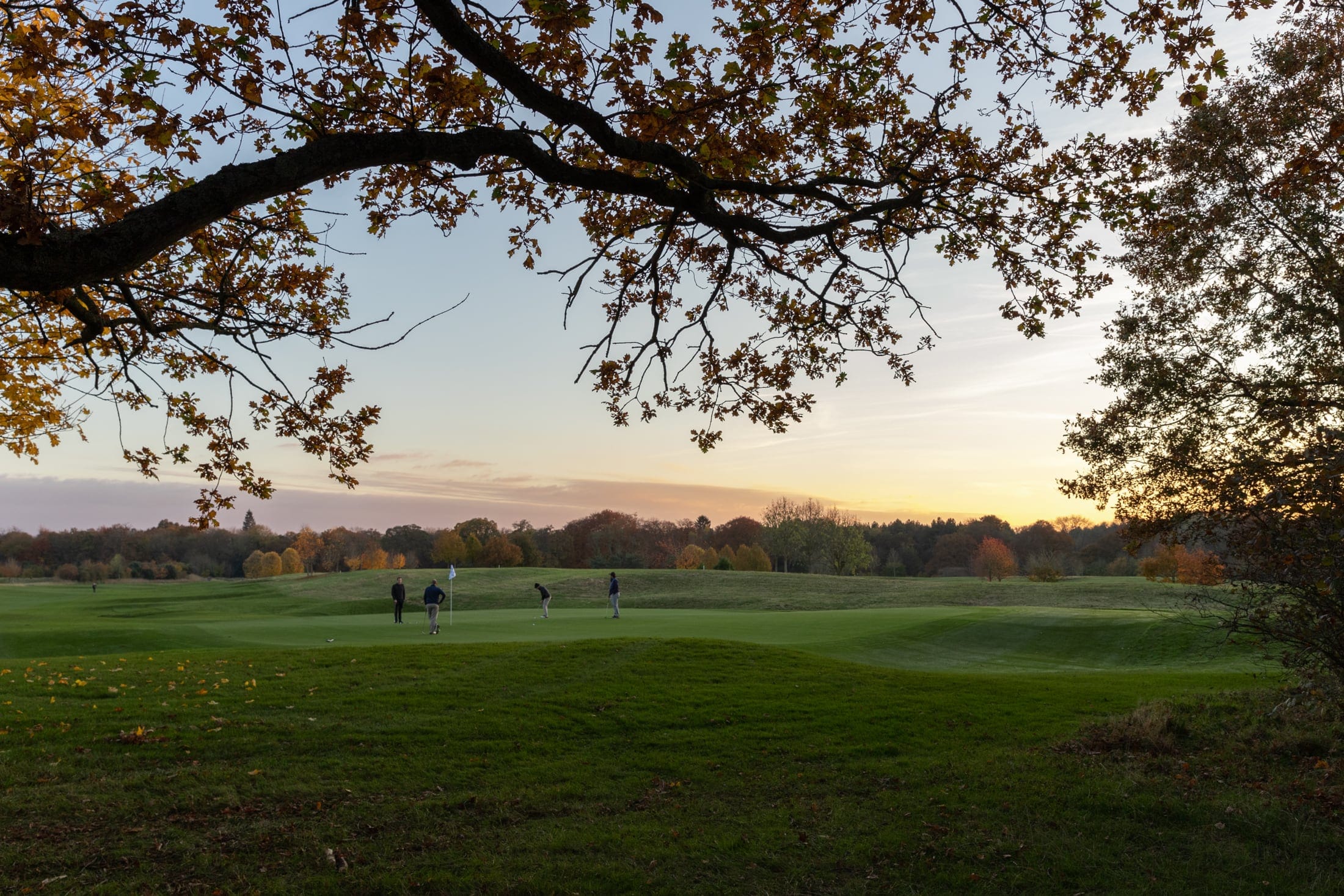 A Year of Golf Awards | Hertfordshire Golf Course | The Grove