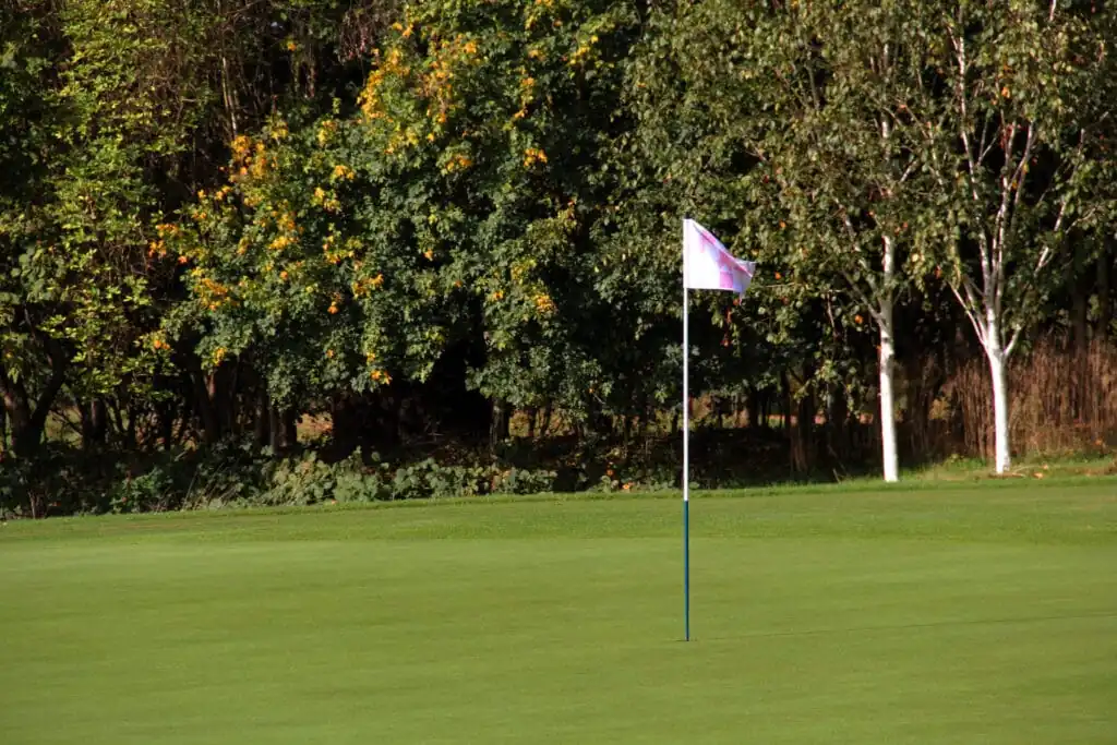 Tea Off for Breast Cancer l Golf Tournaments l The Grove