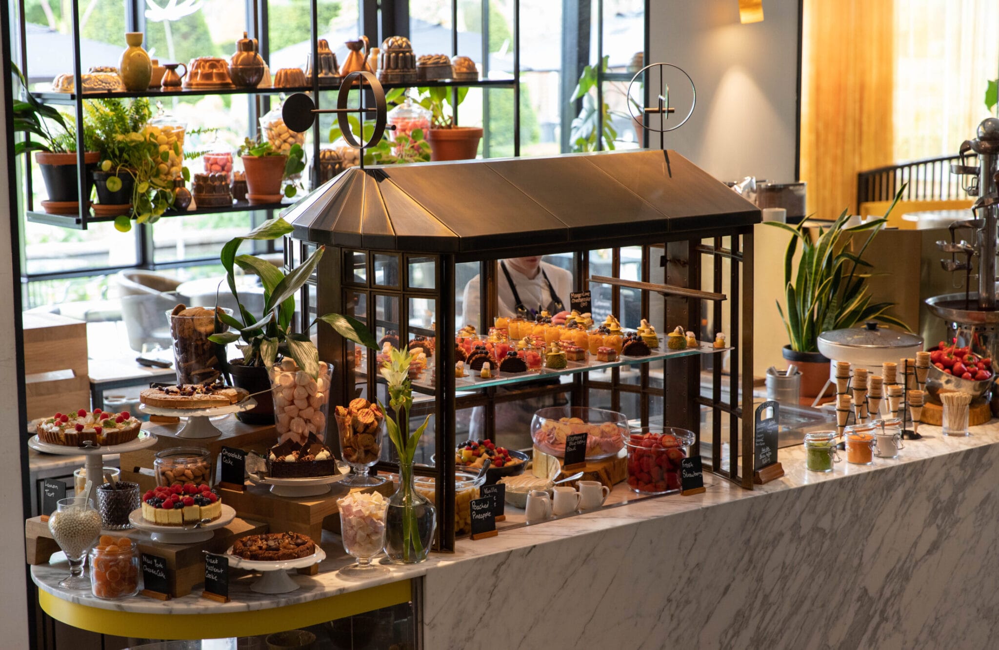 Where did your passion for cooking come from?